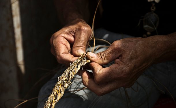 10 curiosidades sobre el esparto, la fibra olvidada - SaberSabor