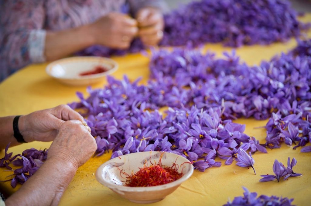 Ruta del azafrán de La Mancha - Turismo gastronómico